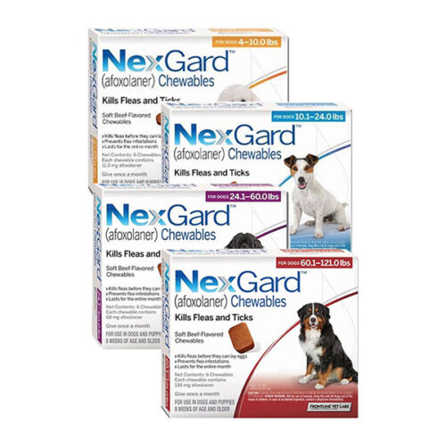 Proviable® - Forte Kit - Lovingston Veterinary Hospital