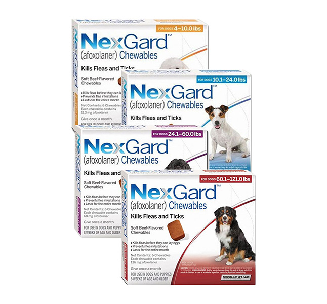 NexGard® Chews for Dogs - Lovingston Veterinary Hospital